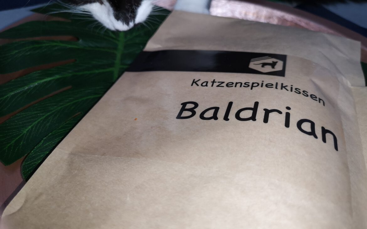 Katzenspielkissen Baldrian von Kira Gates – Stefanie Reichel